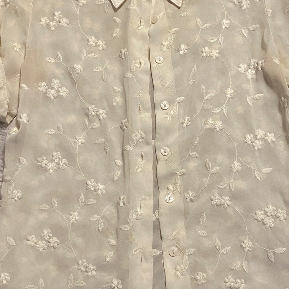 The Limited | Tops | The Limited Vintage Sheer Embroidered Ls Buttonfront Cuff Blouse 8s | Poshmark